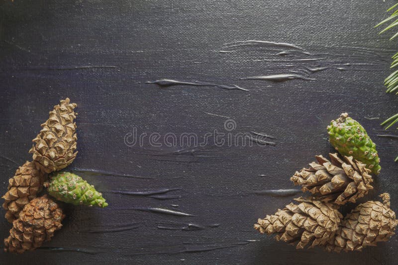 A Black Background with a Pine Motif Stock Photo - Image of flora ...