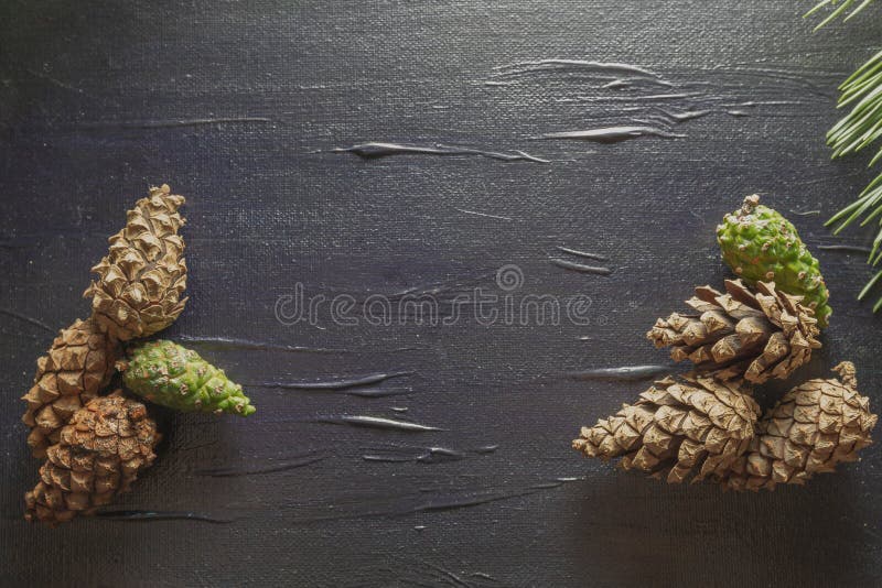 A Black Background with a Pine Motif Stock Image - Image of brown ...