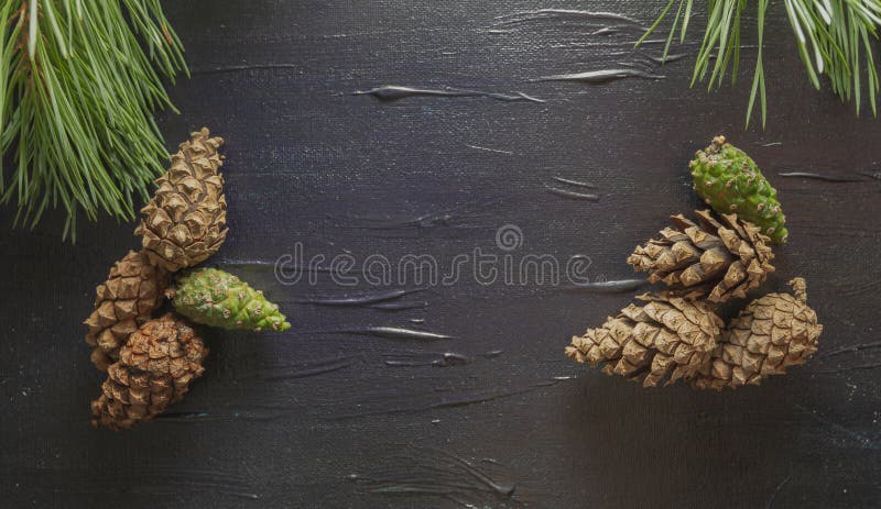 A Black Background with a Pine Motif Stock Photo - Image of ground ...