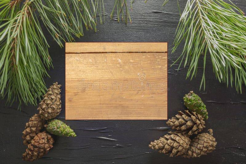 A Black Background with a Pine Motif Stock Image - Image of nature ...