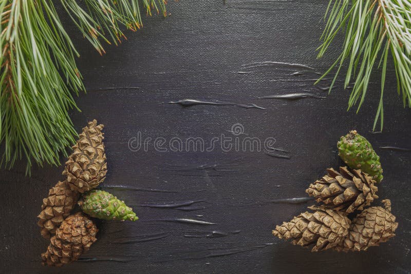 A Black Background with a Pine Motif Stock Image - Image of season ...