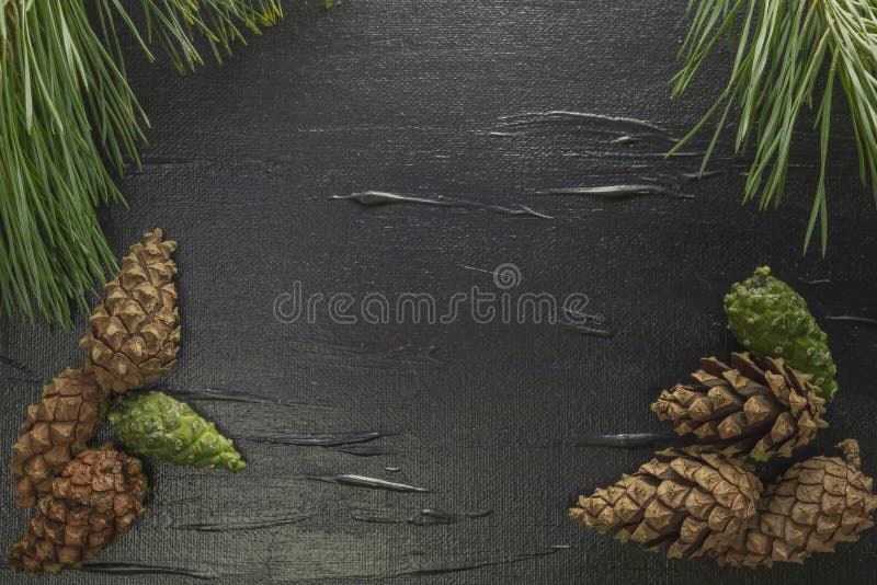 A Black Background with a Pine Motif Stock Image - Image of frame ...