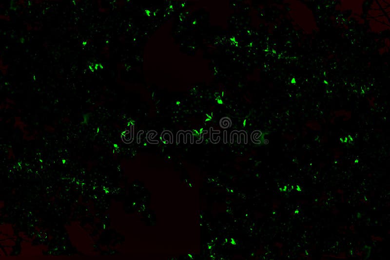 Black Background with Shining Elements of Luminosity Stock Image ...