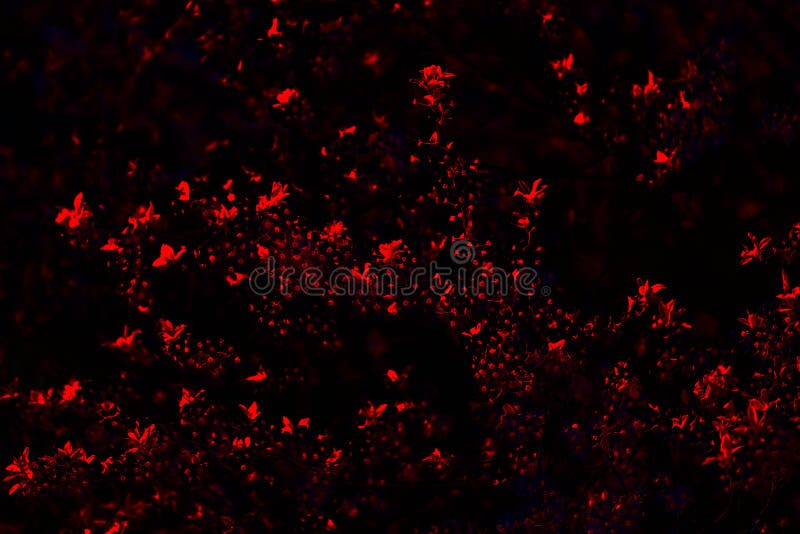 Black Background with Shining Elements of Luminosity Stock Photo ...