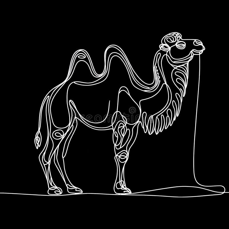 Camel Line Drawing Stock Illustrations – 1,872 Camel Line Drawing Stock ...