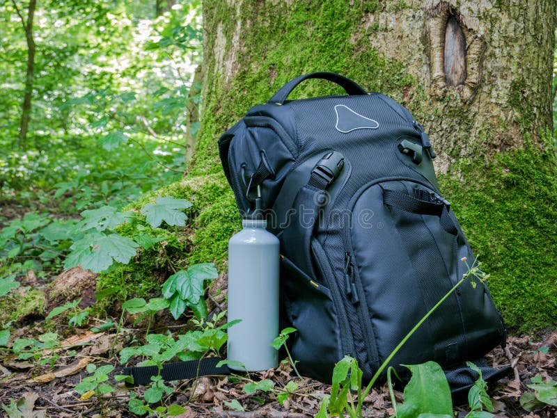 A Black Backpack Next To a Tree Trunk with Green Moss. Hiking Excursion ...