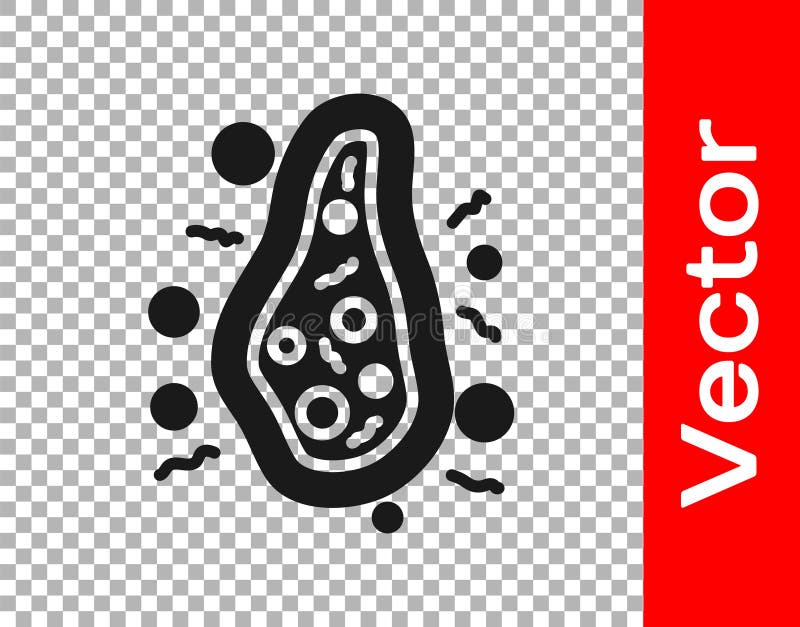 Bacteria Transparent Stock Illustrations – 4,633 Bacteria Transparent ...