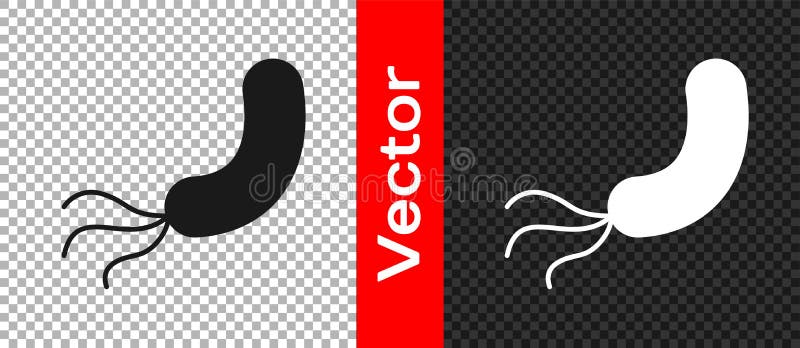 Black Bacteria Icon Isolated on Transparent Background. Bacteria and ...