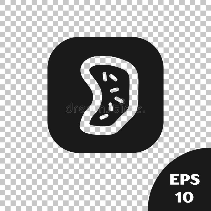 Bacteria Transparent Stock Illustrations – 4,633 Bacteria Transparent ...