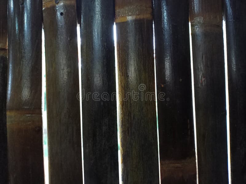 Black Bamboo stock image. Image of natural, tree, pattern - 269687943