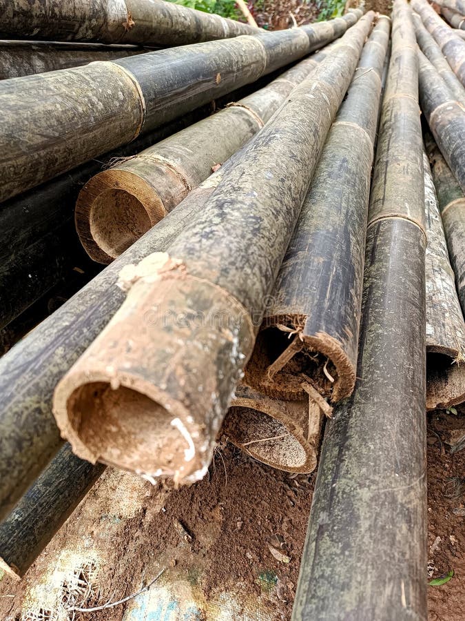 Black Bamboo Sticks for Construction Material Stock Image - Image of ...