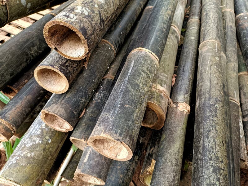 Black Bamboo Sticks for Construction Material Stock Photo - Image of ...