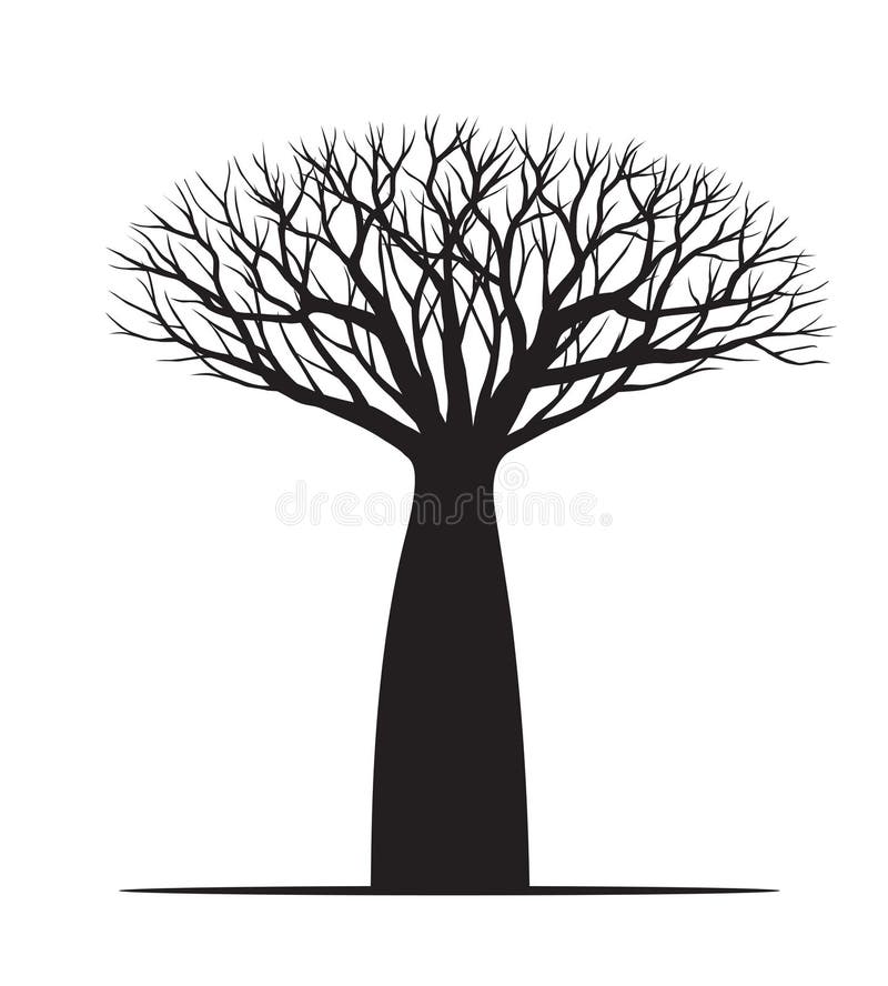 Black Baobab Tree with Roots. Vector Outline Illustration Stock Vector ...