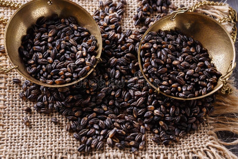 Black Barley Grains on Ceramic Plates Over Wooden Background Stock ...