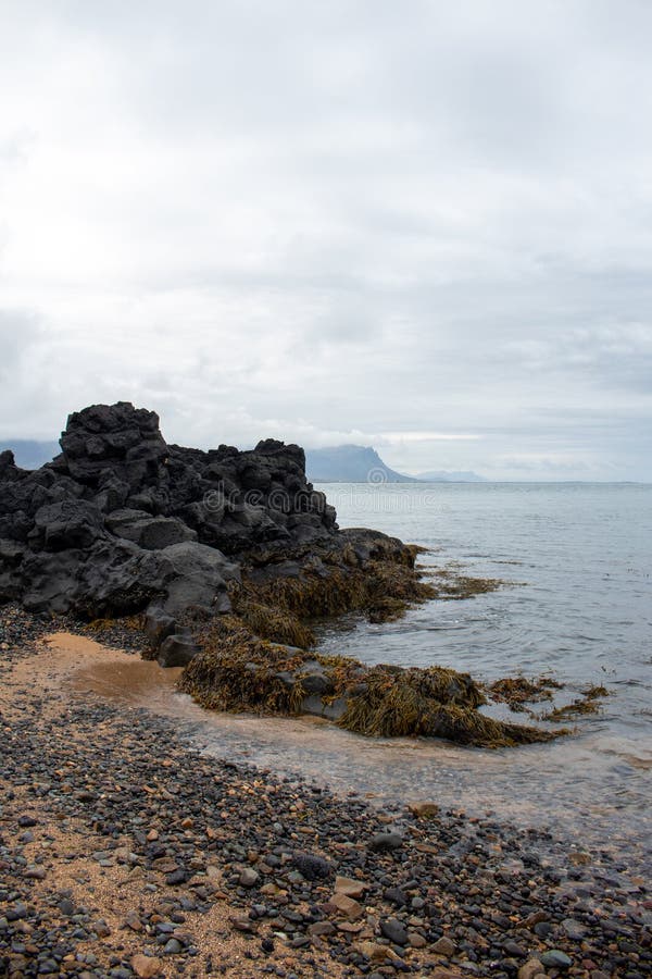 Black Basalt Rock Formations on the Shore of Iceland Stock Image ...