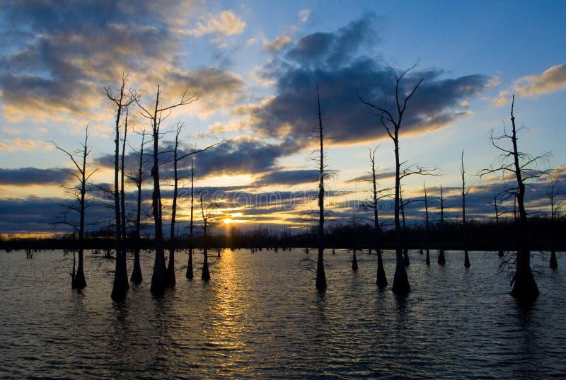 Black Bayou Pier stock photo. Image of water, trees, structure - 21154714