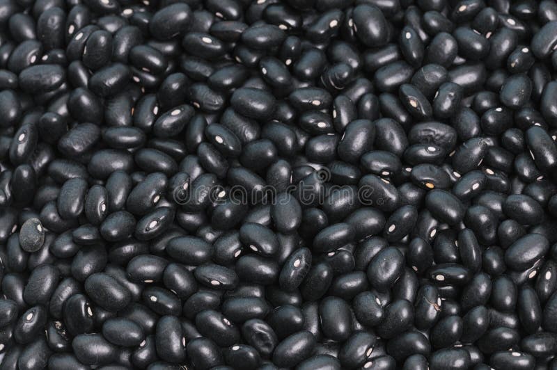 Black bean stock image. Image of bean, isolated, fresh - 16393063
