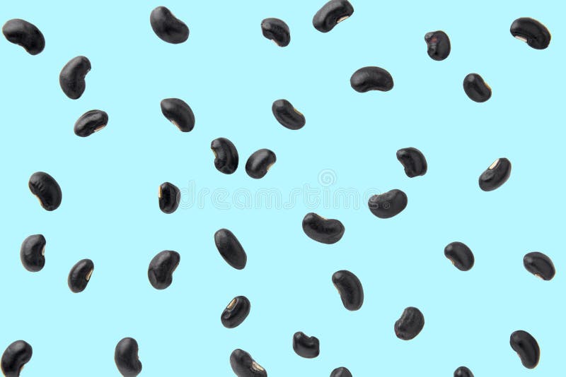 Black Bean on Blue Color Background and Clipping Path. Stock Image ...