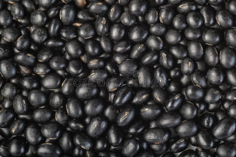Black bean stock photo. Image of fresh, legume, isolated - 53994502