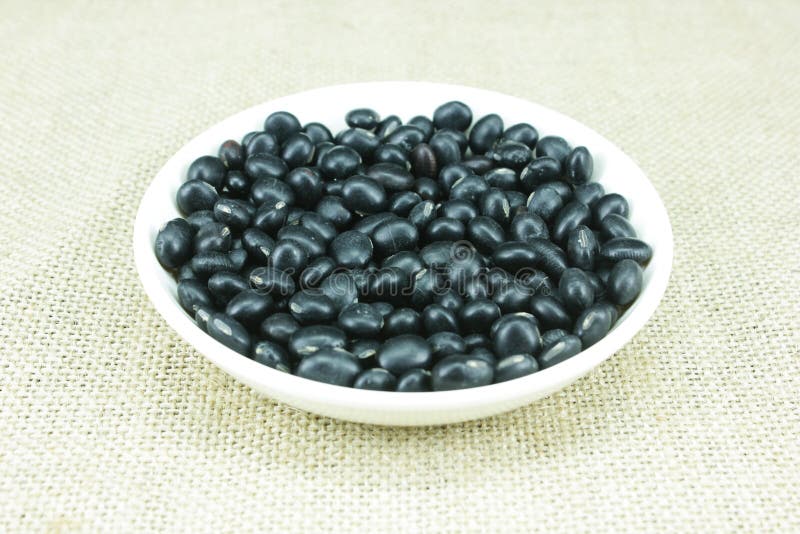 Black Bean Seed Pod stock image. Image of studio, white - 18998663