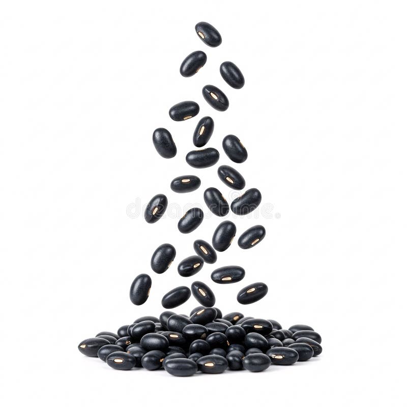A Black Bean Falling on a White Background Stock Illustration ...