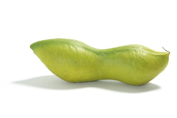 Black Bean Seed Pod stock image. Image of studio, white - 18998663