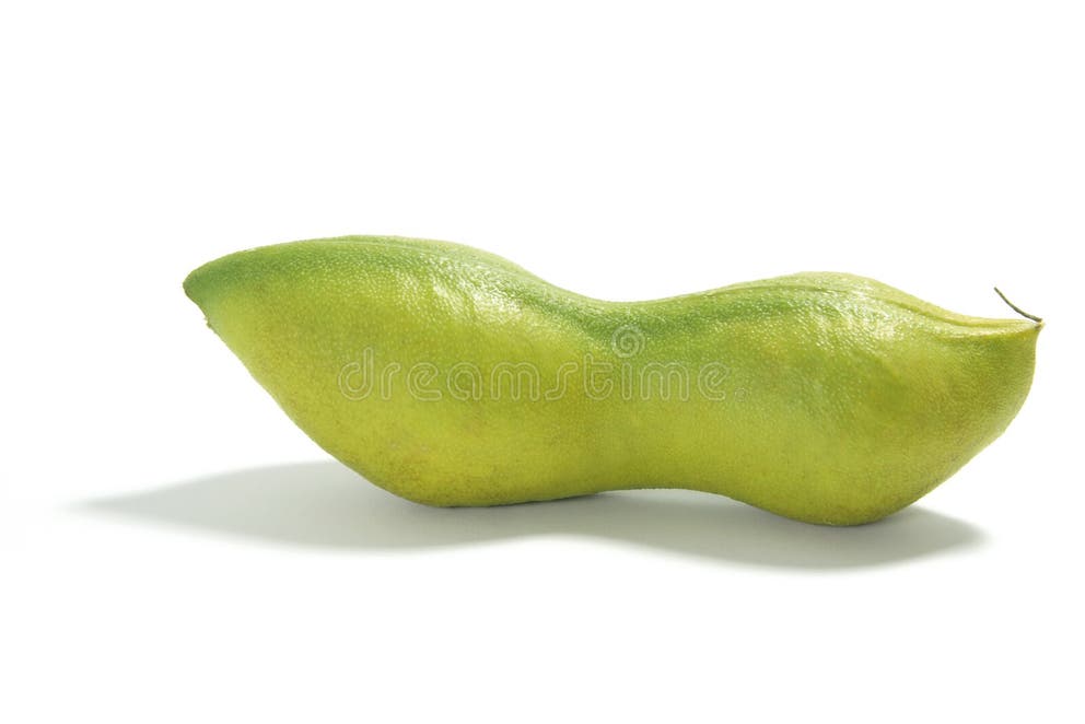 Black Bean Seed Pod stock image. Image of studio, white - 18998663