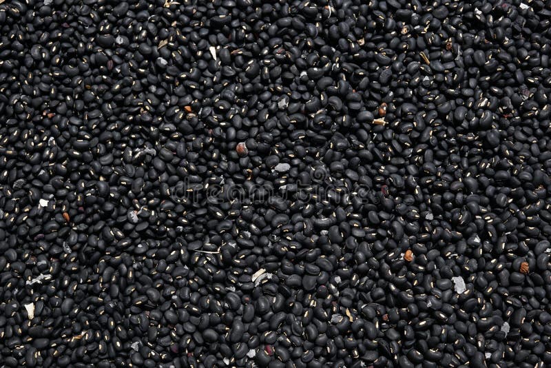 Black Bean and Seed Pod, is Raw Food Stock Image - Image of legume ...