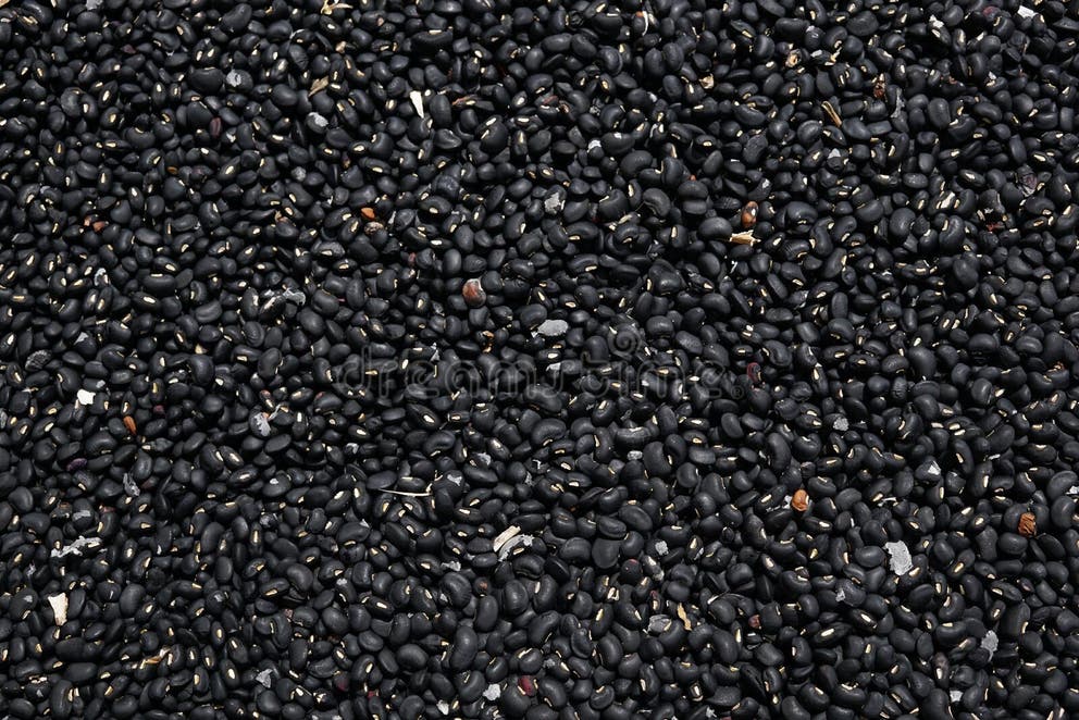 Black Bean and Seed Pod, is Raw Food Stock Photo - Image of fresh ...