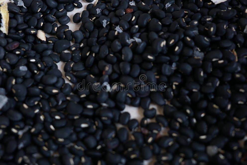 Black Bean and Seed Pod, is Raw Food Stock Image - Image of nutrition ...