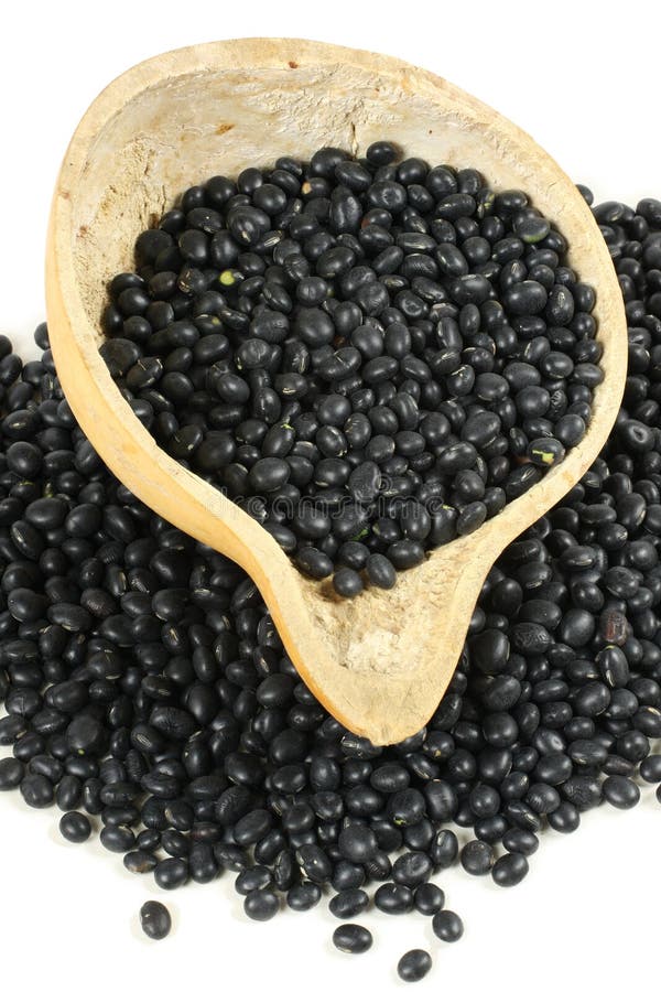 Black beans stock photo. Image of fiber, clean, bean - 13199494
