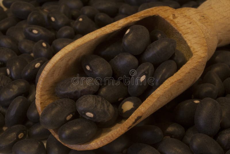 Black Beans that are an Excellent Source of Protein in the Diet. Stock ...