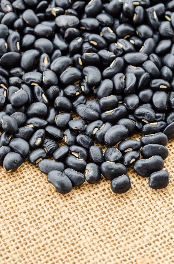 Black beans seeds. stock photo. Image of healthy, group - 70867010