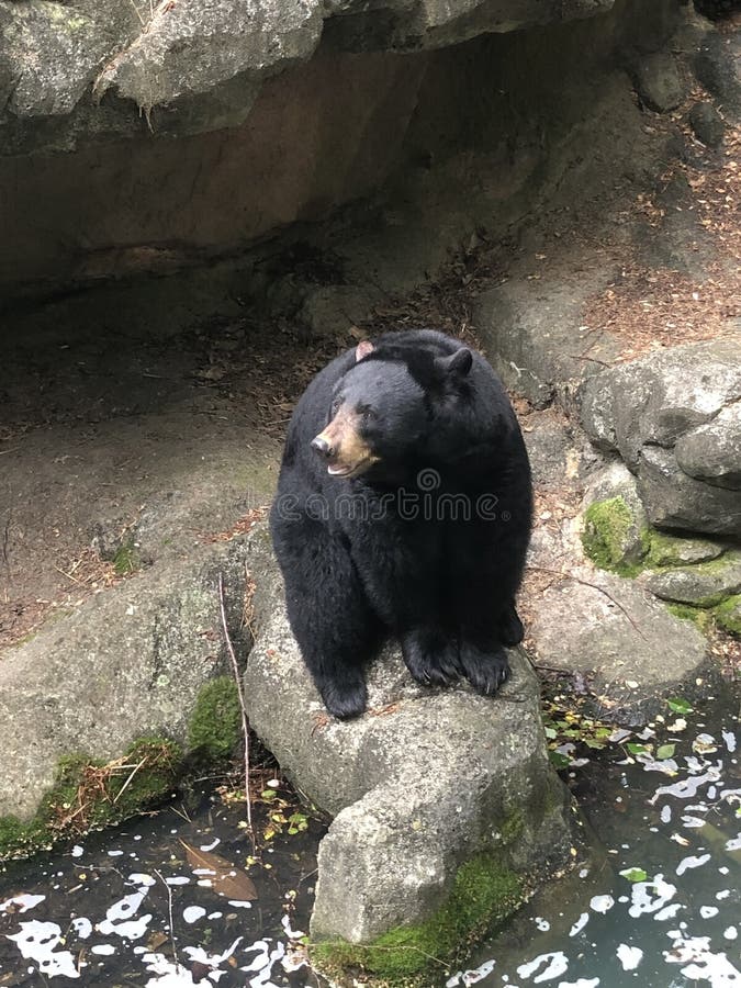 Jamie Lynn Rodriguez (Jamierodriguez37) - Photographer profile