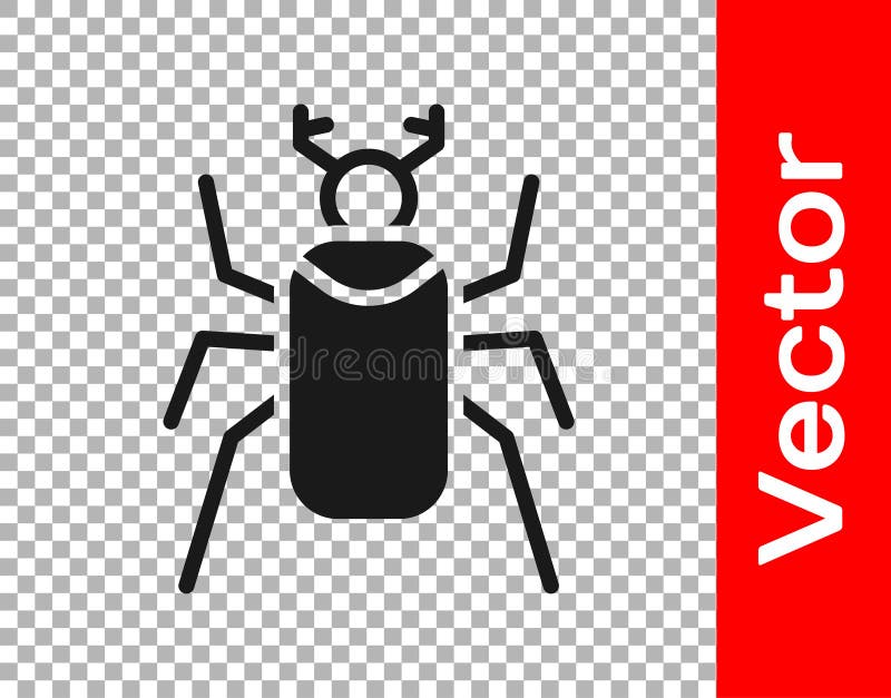 Black Beetle Bug Icon Isolated on Transparent Background. Vector Stock ...