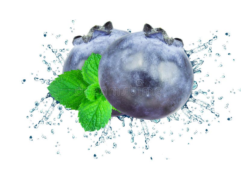 Berry Splash stock photo. Image of studio, black, still - 53369082
