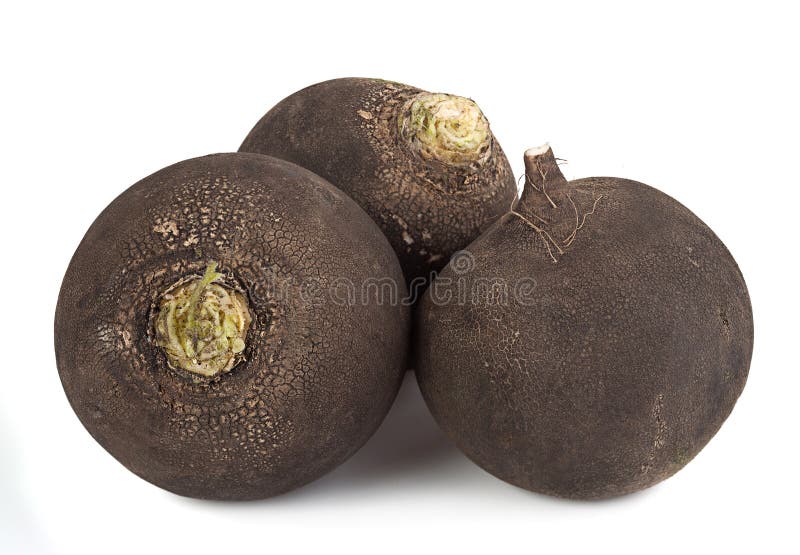 Black big radish stock image. Image of organic, bulb - 60963697