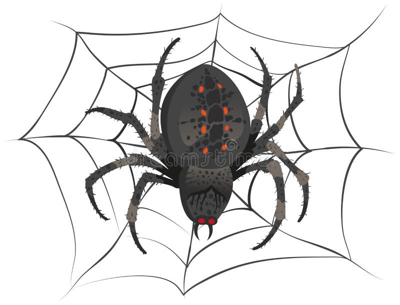 Black Spider and Torn Web. Scary Spiderweb of Halloween Symbol Stock ... Black Spider and Torn Web. Scary Spiderweb of Halloween Symbol Stock ...