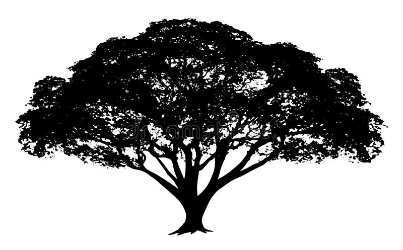 Black Big Tree Silhouette Isolated on White Background with Vector File ...