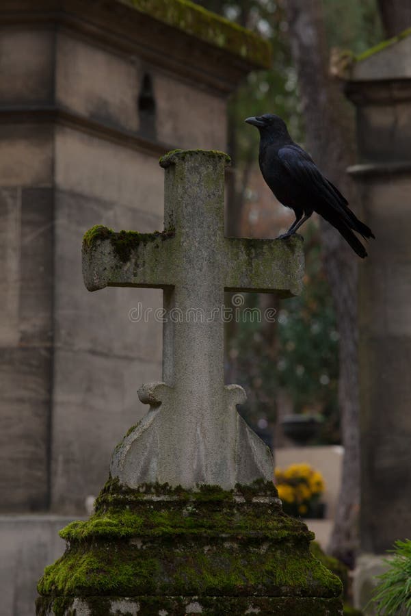 174 Crow Gravestone Photos - Free & Royalty-Free Stock Photos from ...