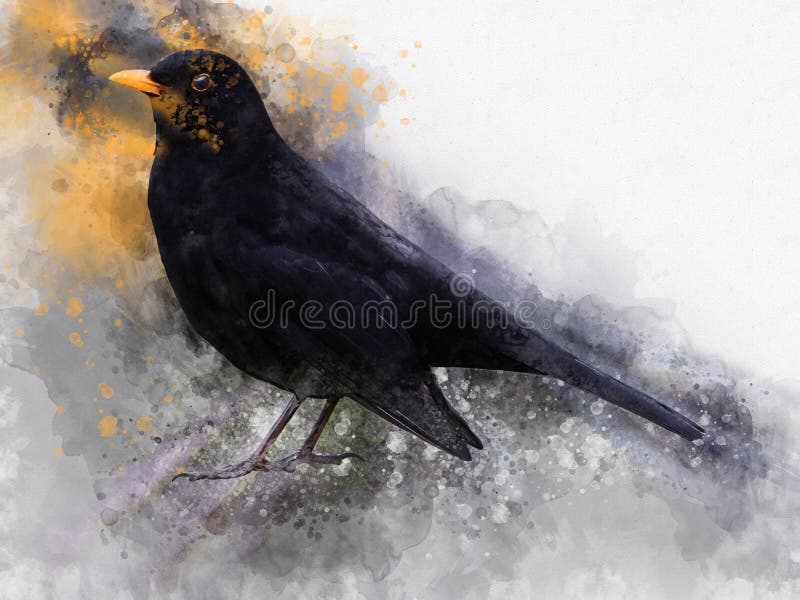 Black Bird - Painted with Watercolor. Bird Illustration Stock ...
