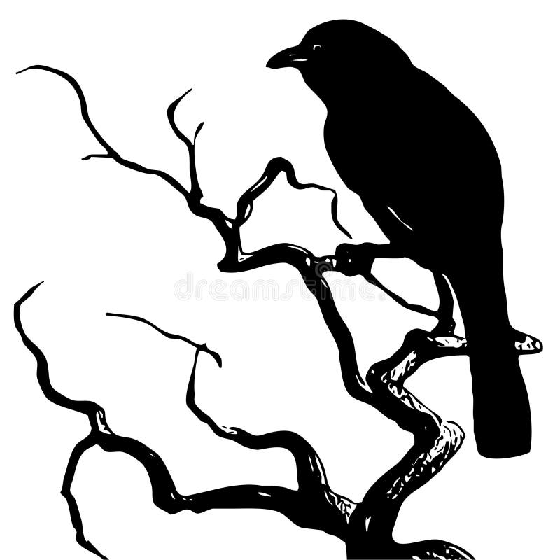 Black Bird on a Tree on a White Background. Minimalist Illustration ...