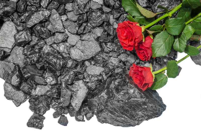 Coal Flower Background Red Roses Stock Photos - Free & Royalty-Free ...