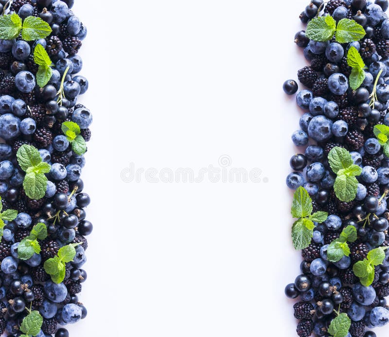 Black and Blue Berries on a White. Ripe Blueberries, Blackberries with ...