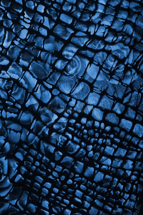 Black and Blue Fabric with Flower Pattern As Background Stock Image ...