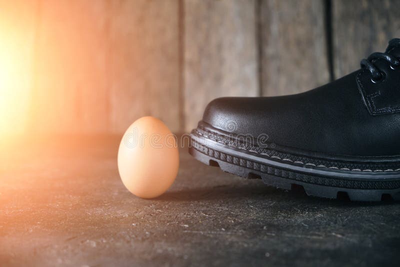 Black Boot and a Fragile Chicken Egg with a Sunny Glow Stock Photo ...