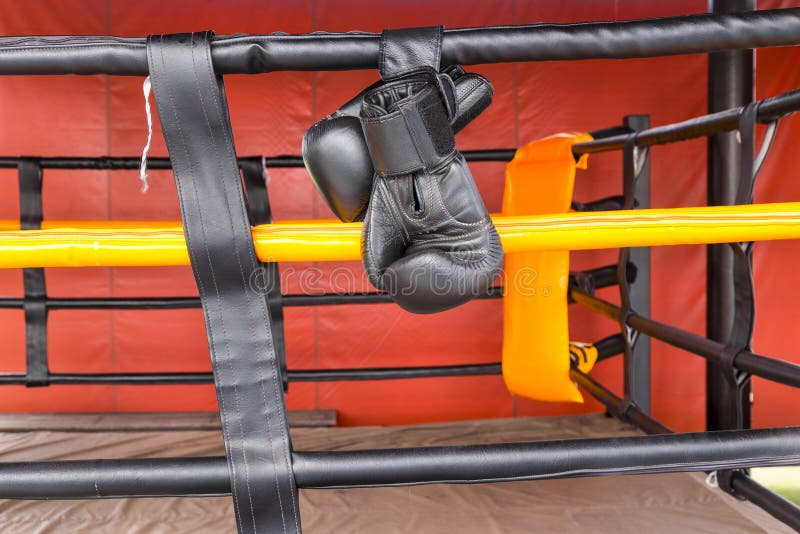 Black Boxing Gloves Hang on Hanging on Ropes of Ring. Stock Photo ...