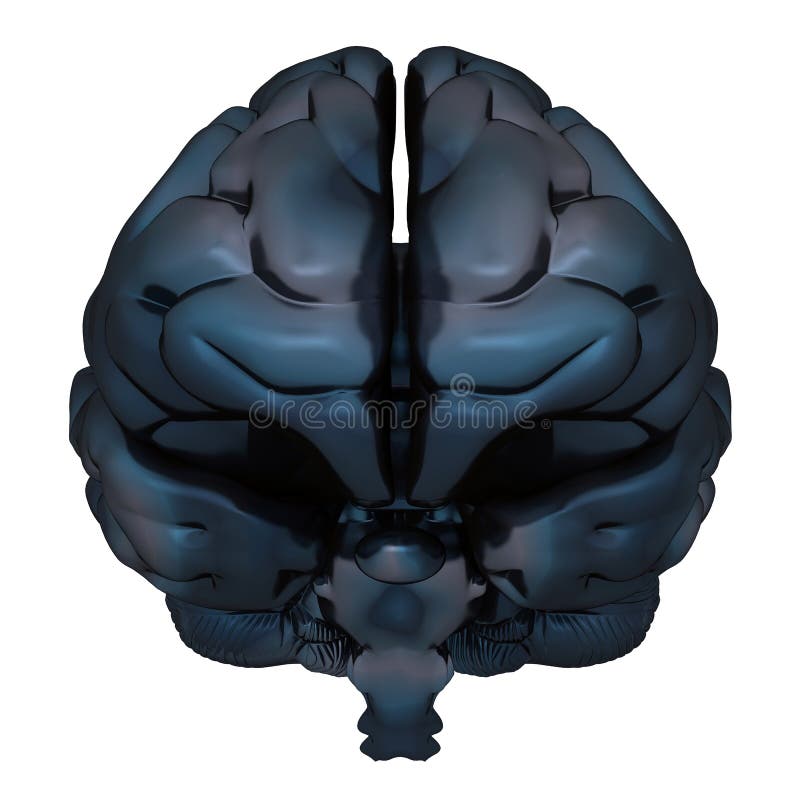 Black Brain Isolated on White 3d Rendering Stock Illustration ...
