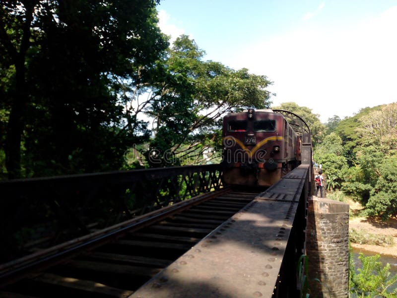 Black bridge peradeniya editorial stock image. Image of peradeniya ...