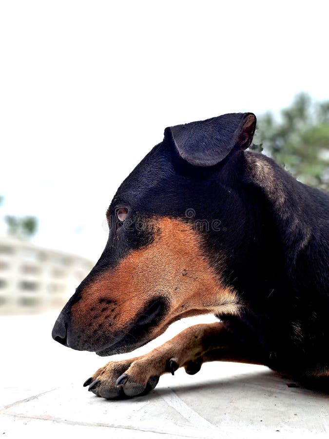 Otherwhere Stock Photos - Free & Royalty-Free Stock Photos from Dreamstime